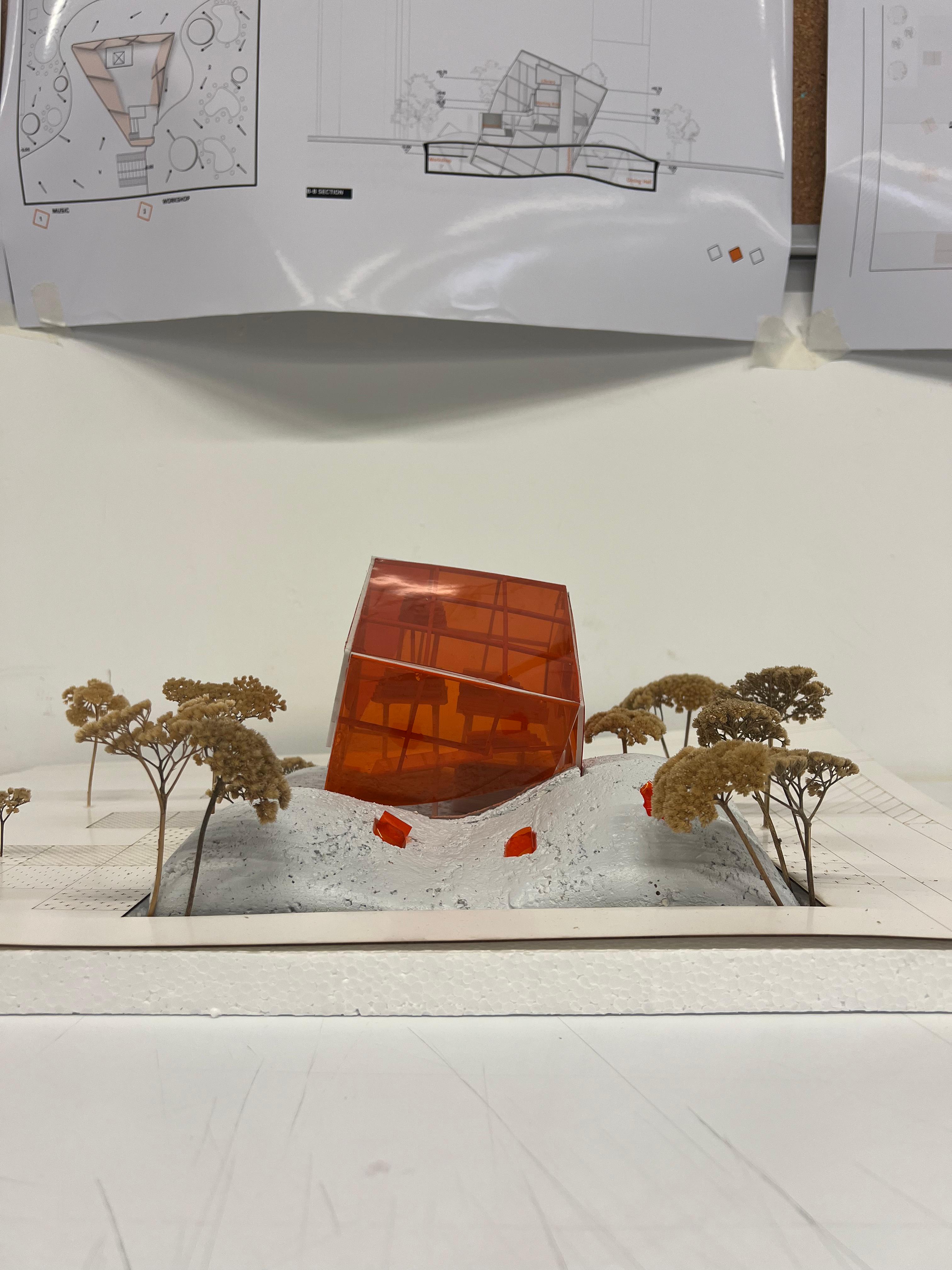 Cacoon | Educational Building Project